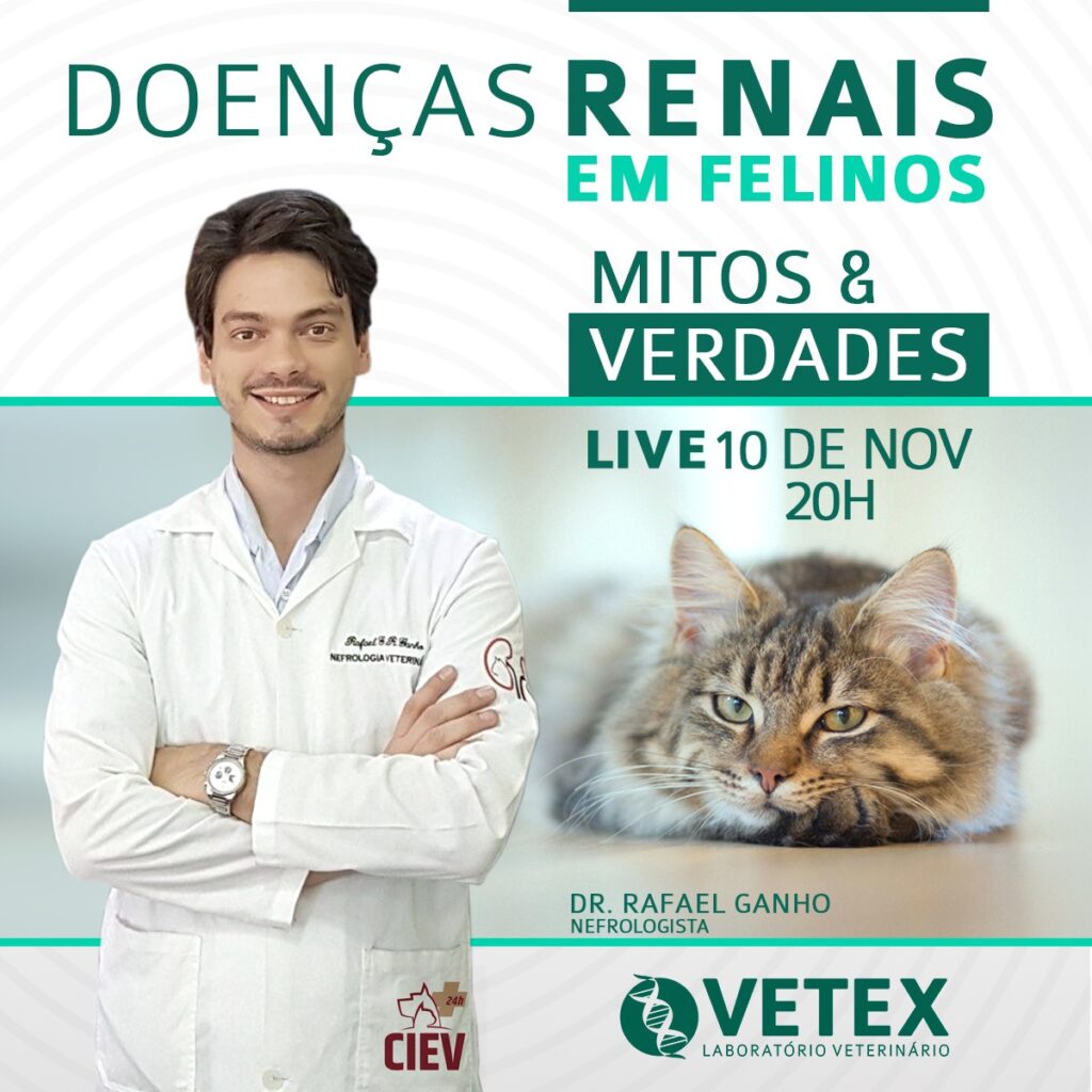 Doença Renal em Gatos - VETEX Laboratório Veterinário